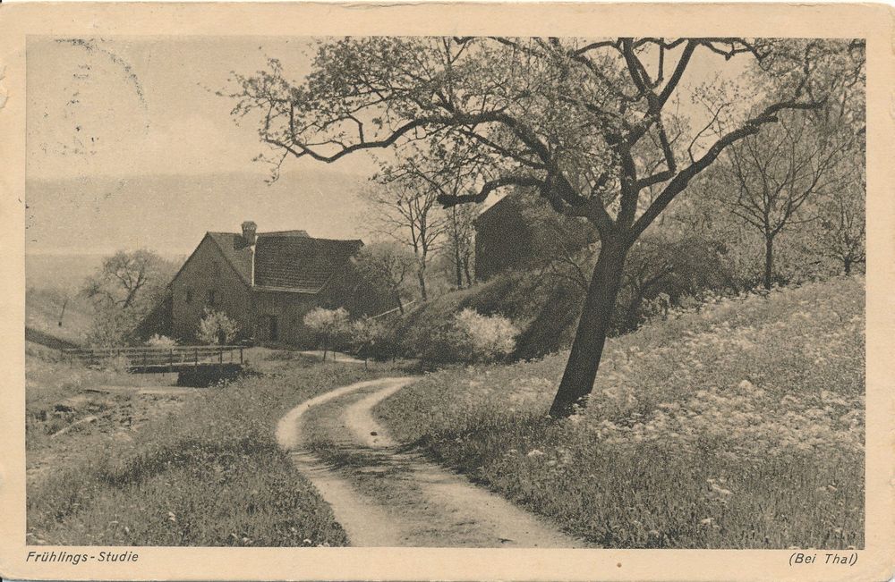 Photostudien aus der Schweiz Frühling bei Thal gel. 1921 (Gebraucht) in Luzern für CHF 9.5 – mit ...