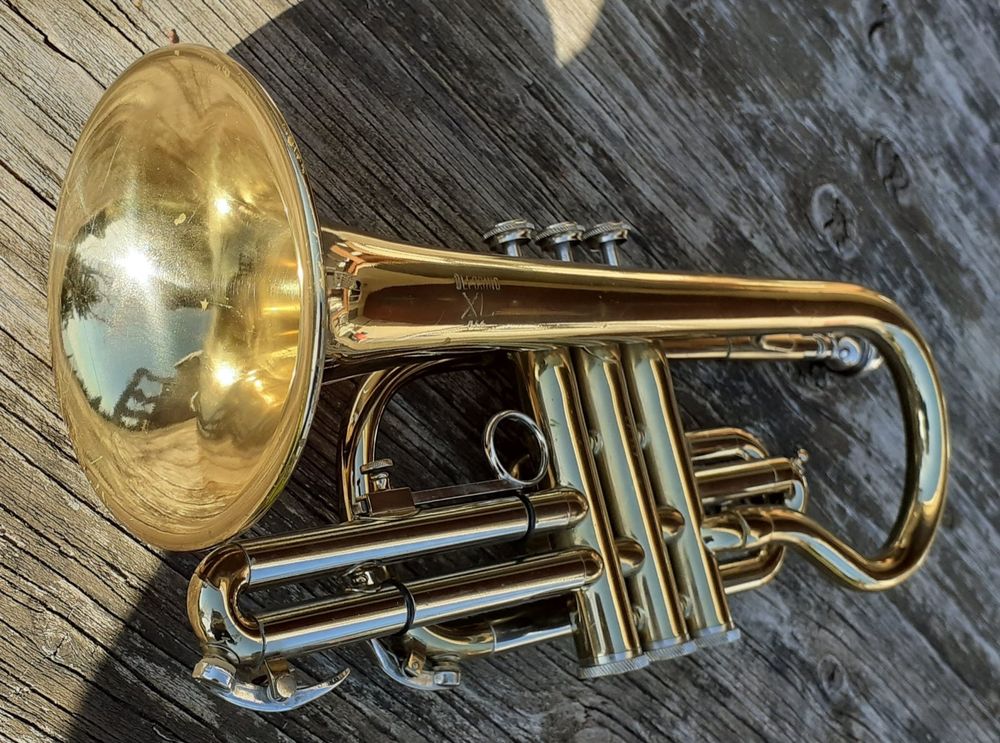 Cornet Blessing (Gebraucht) in Lugnorre für CHF 93 – mit Lieferung auf ...