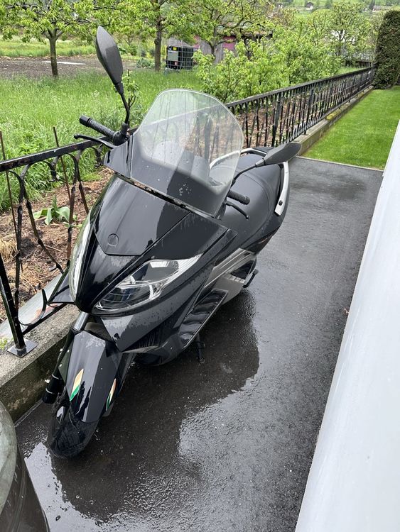 Tell Silverbalde 125 | Kaufen auf Ricardo