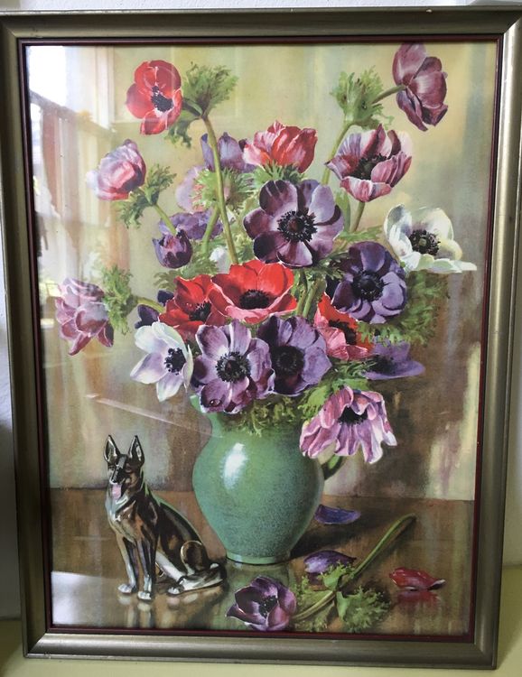 Blumenbild/Druck, in Holzrahmen, unter Glas | Kaufen auf Ricardo