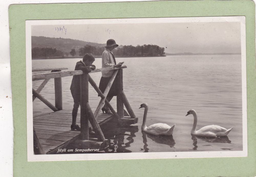 Idyll am Sempachersee Schwäne (Gebraucht) in Herisau für CHF 1 – mit ...