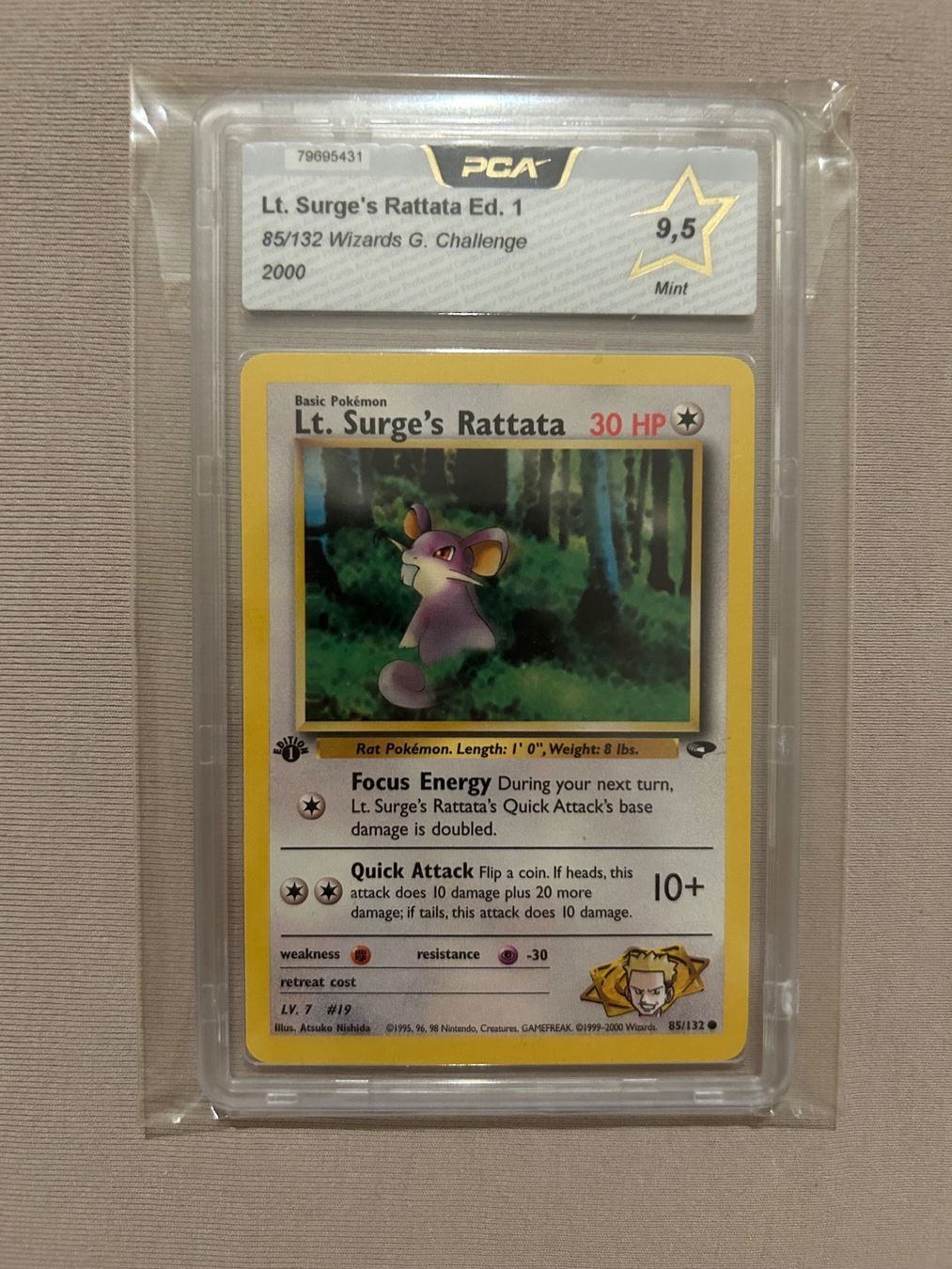 Pokémon 1. Edition - Lt. Surge's Rattata PCA PSA 9,5 (Neu (gemäss ...