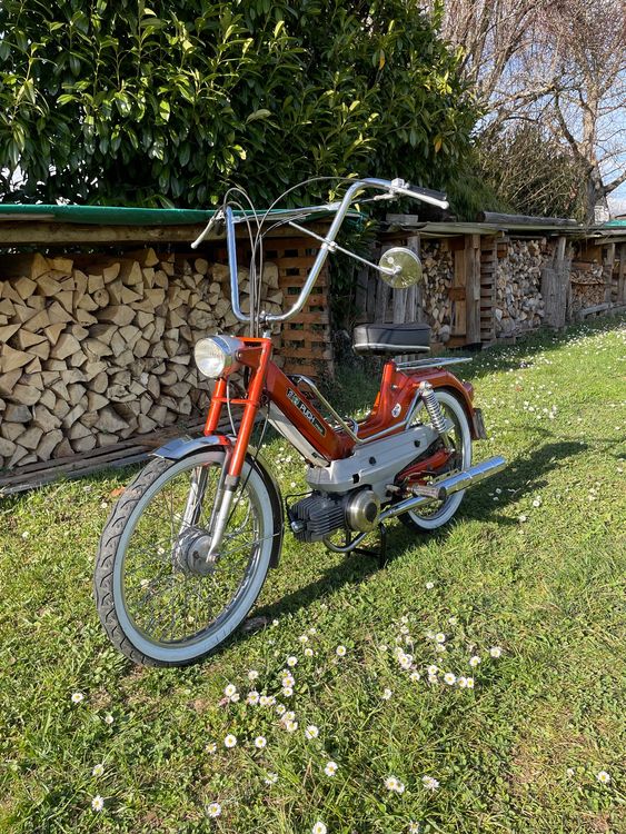Puch Maxi S Z50 (Standort Deutschland) (Gebraucht) in Hüntwangen für CHF 3000 – nur Abholung auf ...