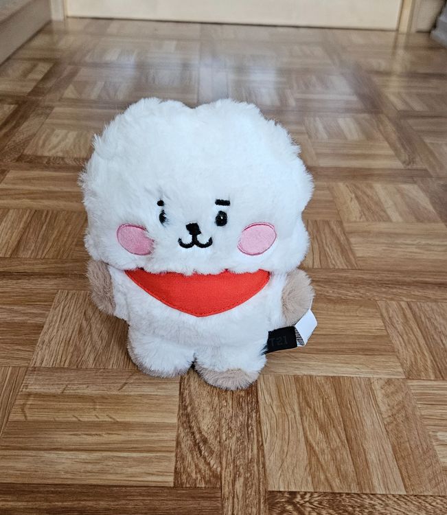 BT21 RJ Mini Plüschtier (Neu und originalverpackt) in Spreitenbach für ...