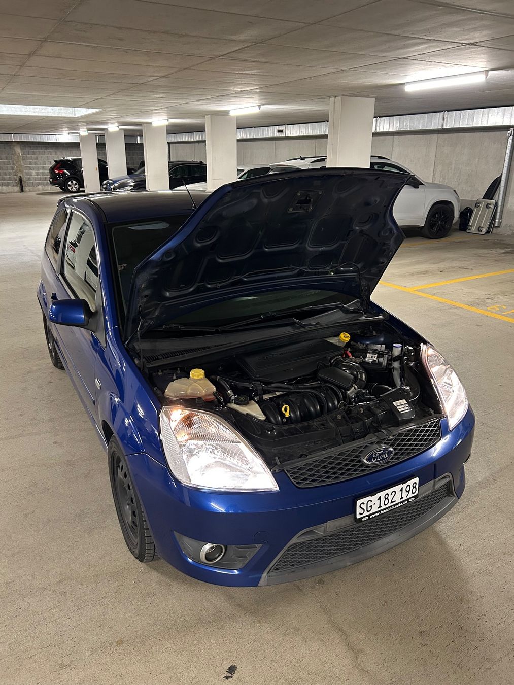 Ford Fiesta ST 2.0 16V, Frisch MFK 8.12.25 (Gebraucht) in Wittenbach ...