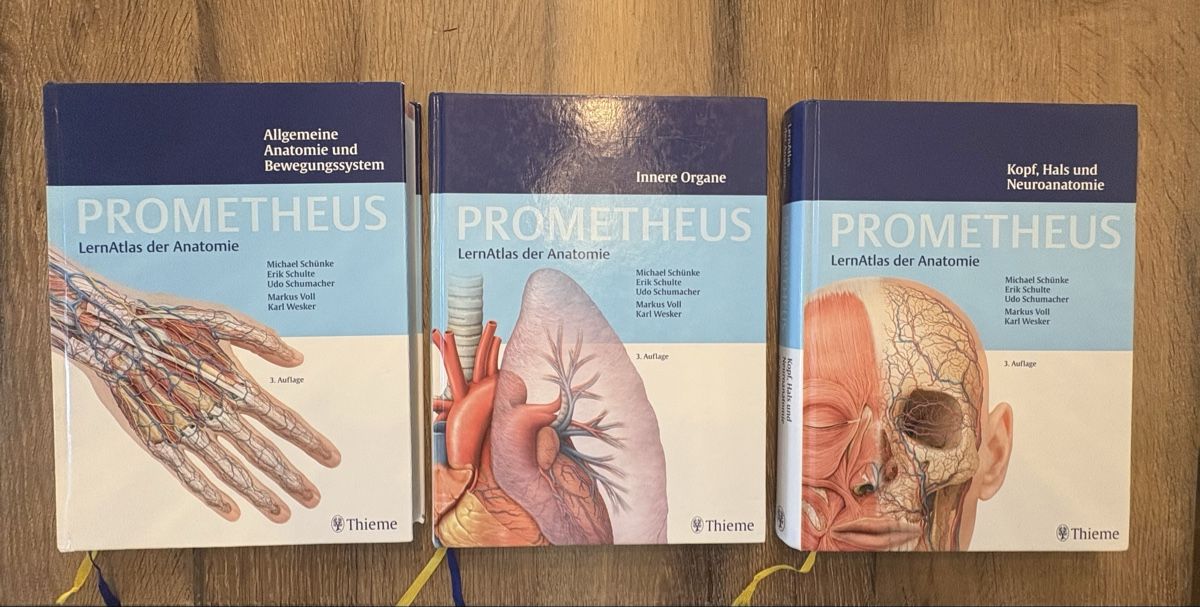 PROMETHEUS LernAtlas Anatomie – Set aus 3 Bänden (Gebraucht) in ...
