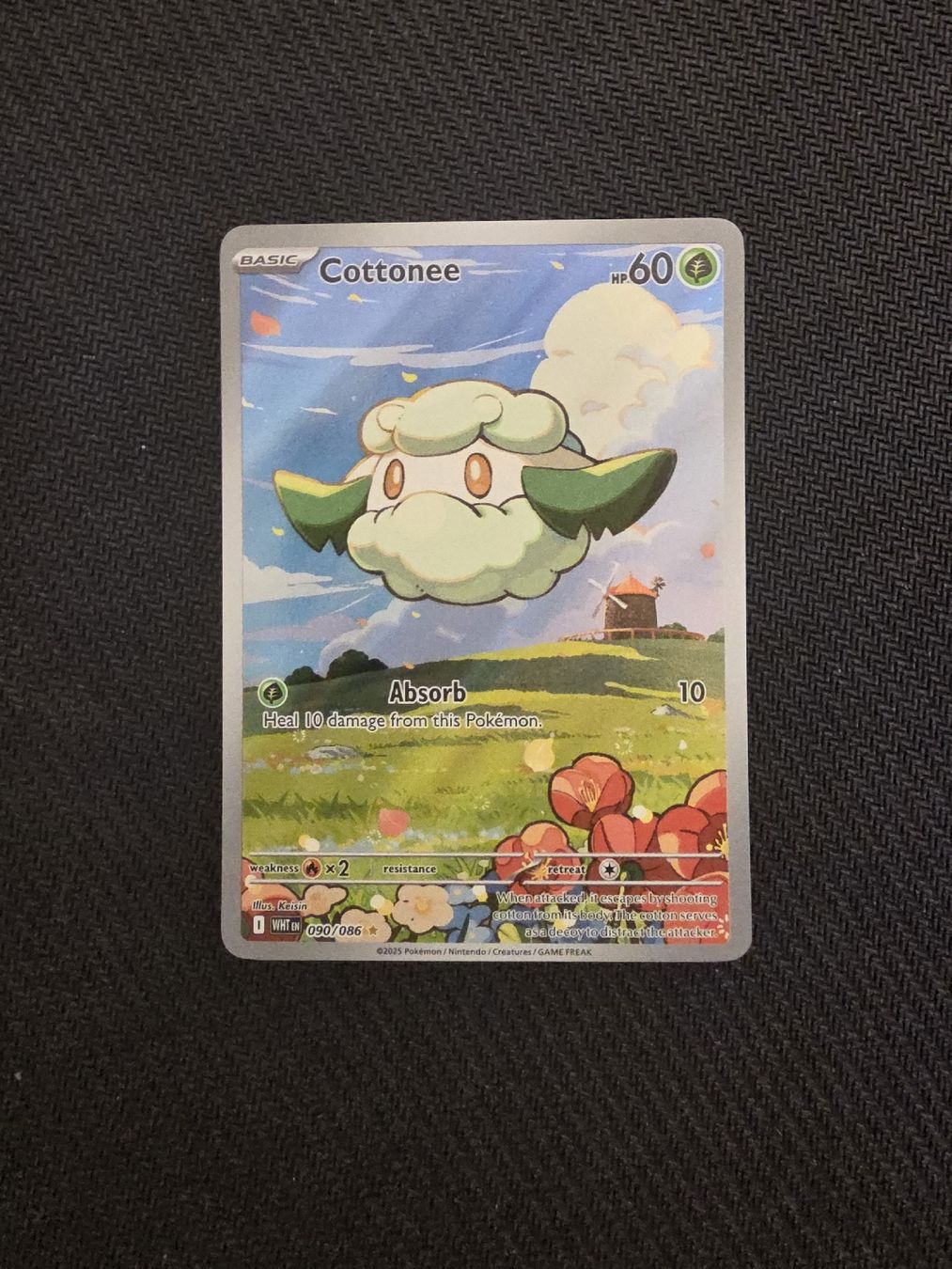 Pokémon TCG – WHT Cottonee 090/086🇺🇸 (Neu (gemäss Beschreibung)) in ...
