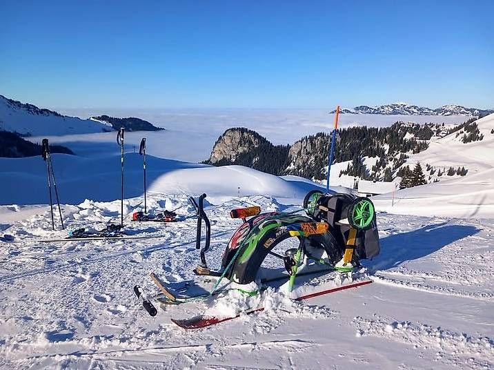 Weicher Pneu-Schlitten Kunstwerk XL-Bob Carvingski (Gebraucht) in ...
