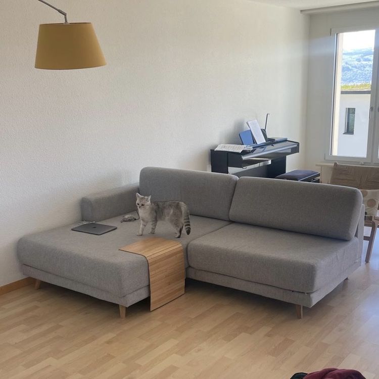 Sofa von MYCS | Kaufen auf Ricardo