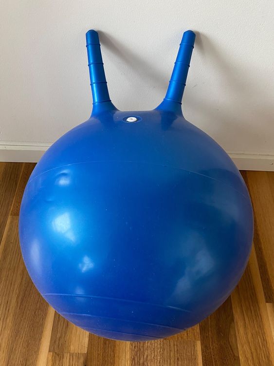 Hüpfball Paw Patrol | Kaufen auf Ricardo