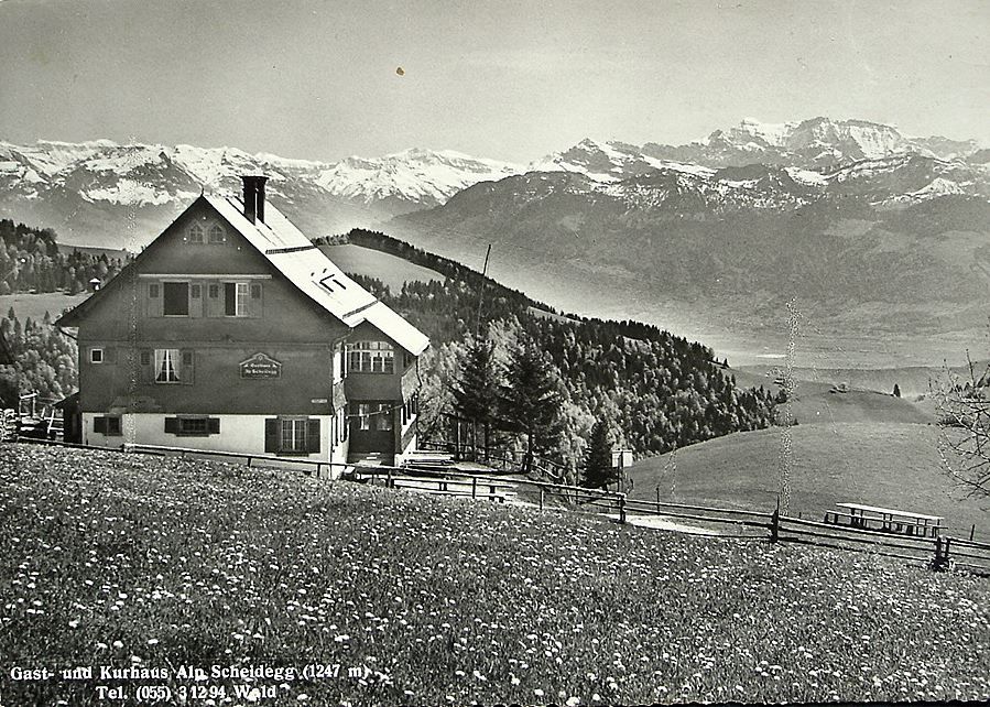 WALD Alp Scheidegg (Gebraucht) in Jona für CHF 11.9 – mit Lieferung auf Ricardo kaufen