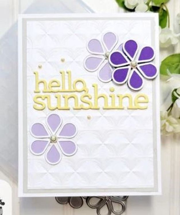 Simon Says Stamp 3D Embossing Folder ** Rhythmic ** (Neu und originalverpackt) in für CHF 8 ...