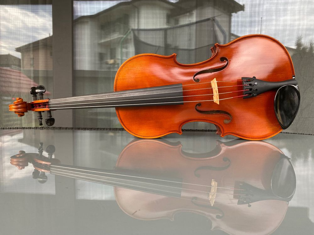 Bratsche (Viola) Paesold 1997 (Gebraucht) in Belfaux für CHF 480 – mit Lieferung auf Ricardo kaufen