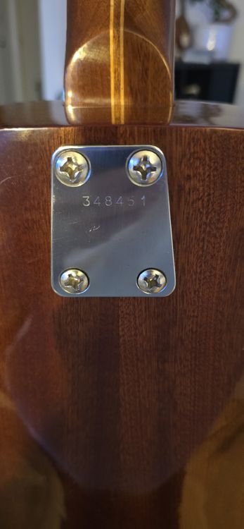 EKO akustische Gitarre, DEFEKT (Gebraucht) in Meilen für CHF 1 – nur ...