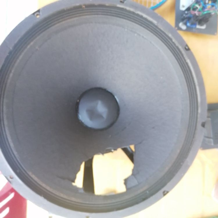 Haut parleur EV DL18 MT à reconner (Gebraucht) in Icogne für CHF 50 ...