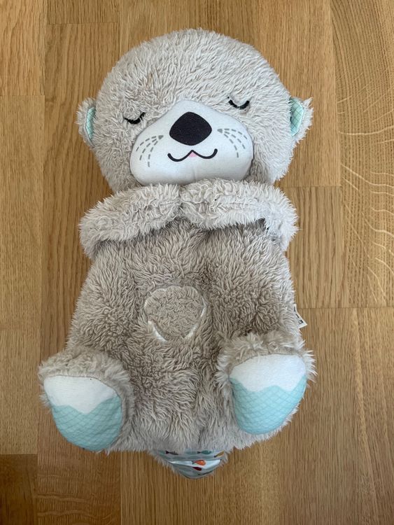 Fisher Price Schlummer Otter - Einschlafhilfe Neugeborene (Gebraucht ...