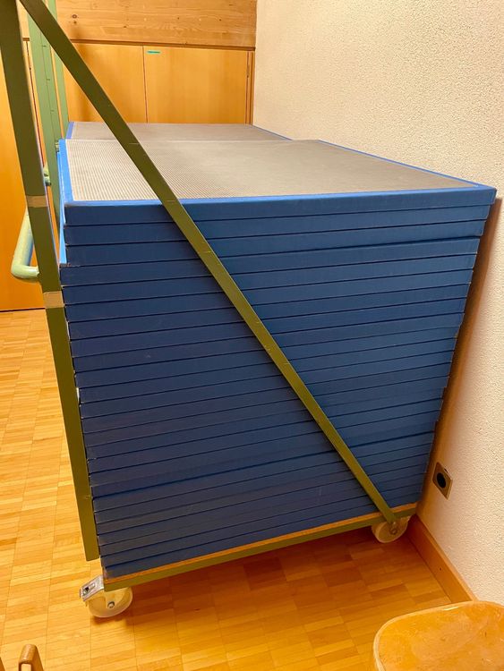Judomatten (BSW TATAMI PROFESSIONAL E215): 49 Stück (Gebraucht) in Winterthur für CHF 1120 – nur ...
