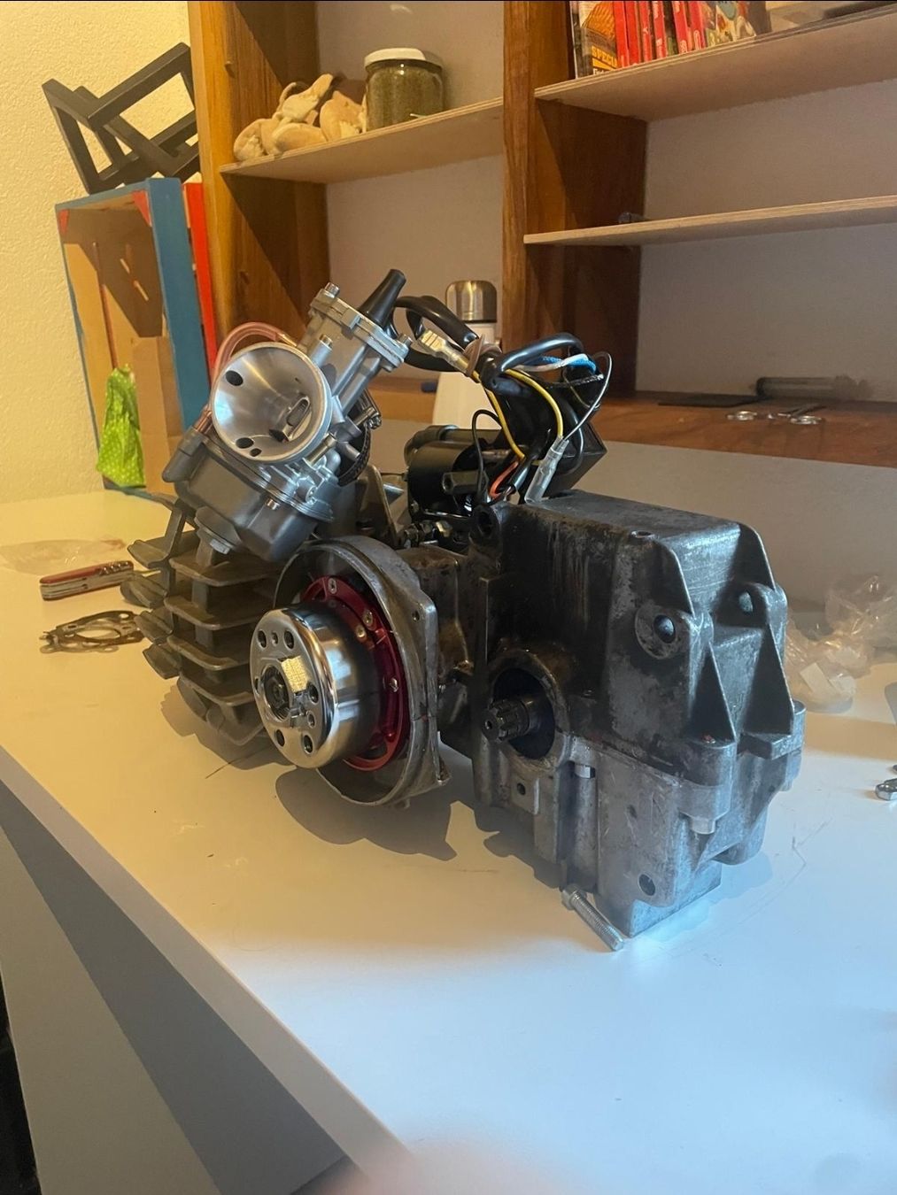 Puch Maxi e 50 Motor(Neuaufbau) (Neu (gemäss Beschreibung)) in Oberriet ...