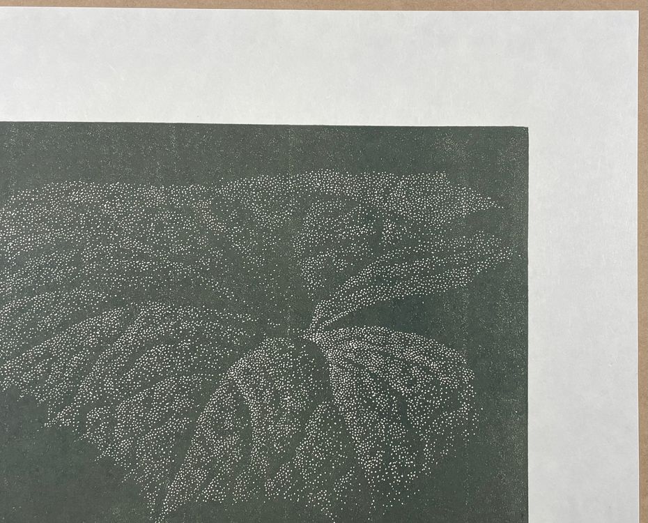 Franz Gertsch (1930-2022) Holzschnitt Handsigniert (Gebraucht) in Root für CHF 2090 – mit ...