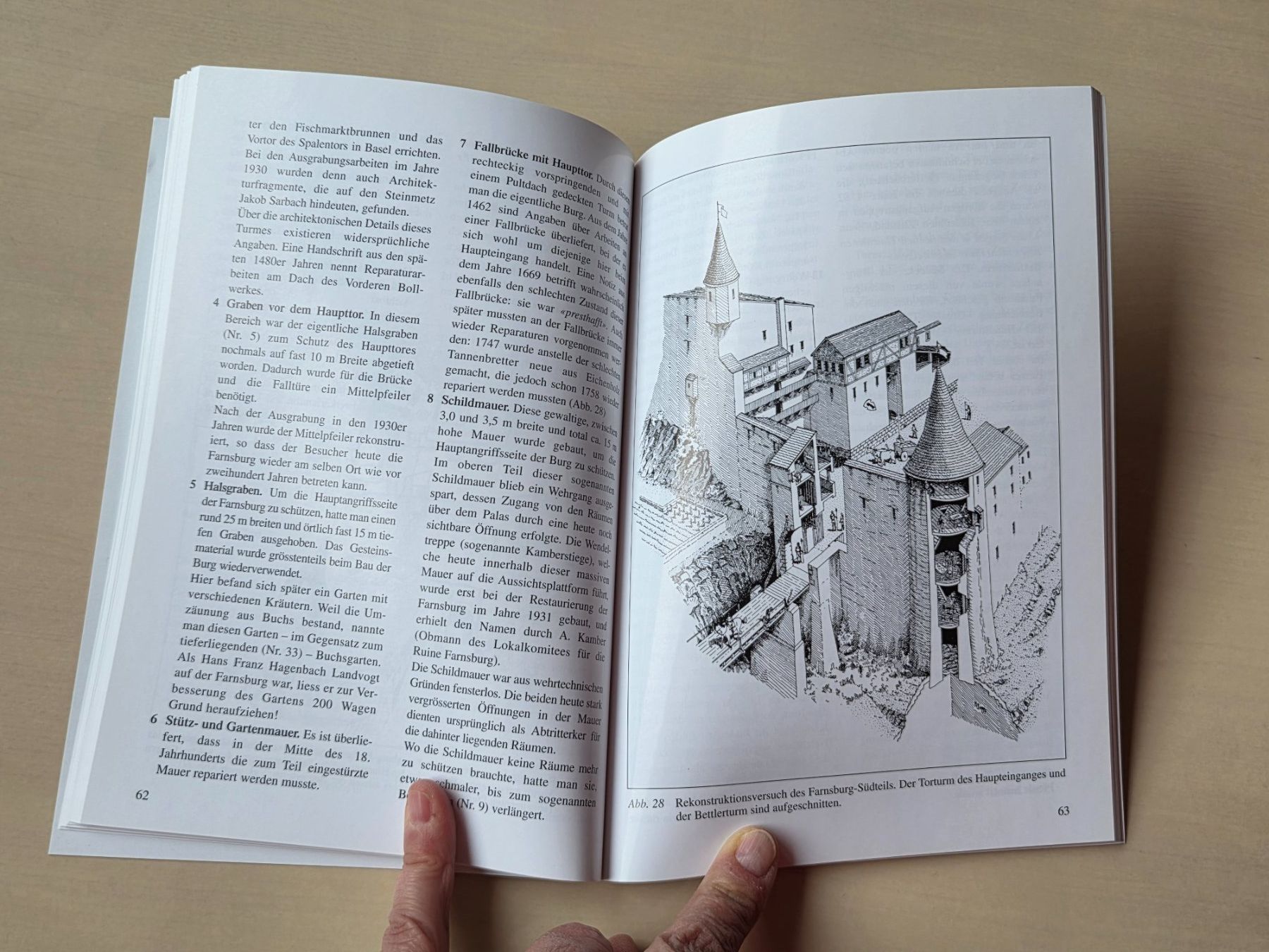 Die Farnsburg, eine Bau- und Lebensgeschichte, Markus Schaub (Gebraucht ...