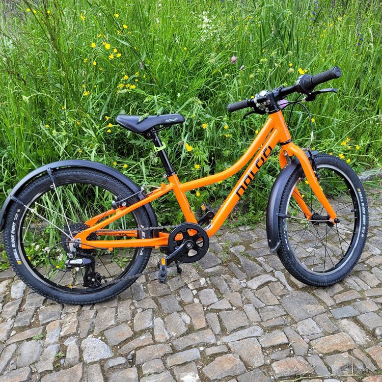 Naloo Chameleon 20 Zoll Kinderfahrrad aus erster Hand | Kaufen auf Ricardo