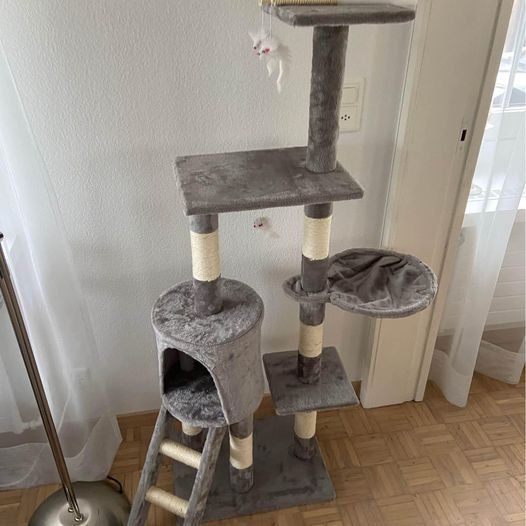 Katzenbaum grau Höhe 138cm (Neu (gemäss Beschreibung)) in Ottikon für ...