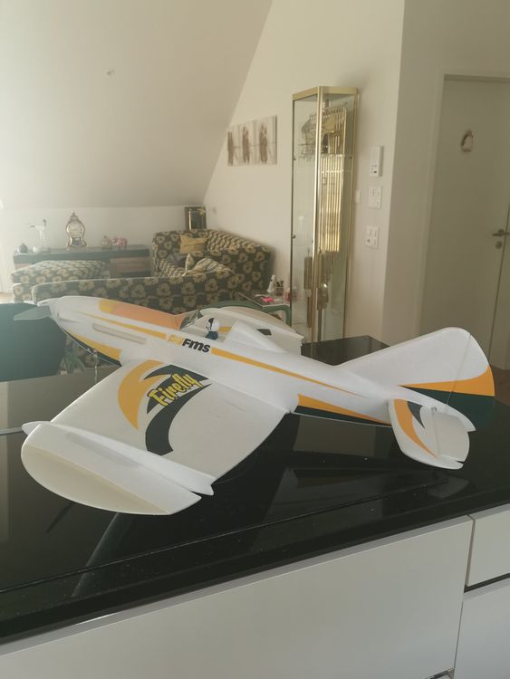 RC Flugzeug FireFly von FMS (Gebraucht) in Salmsach für CHF 56 – mit ...