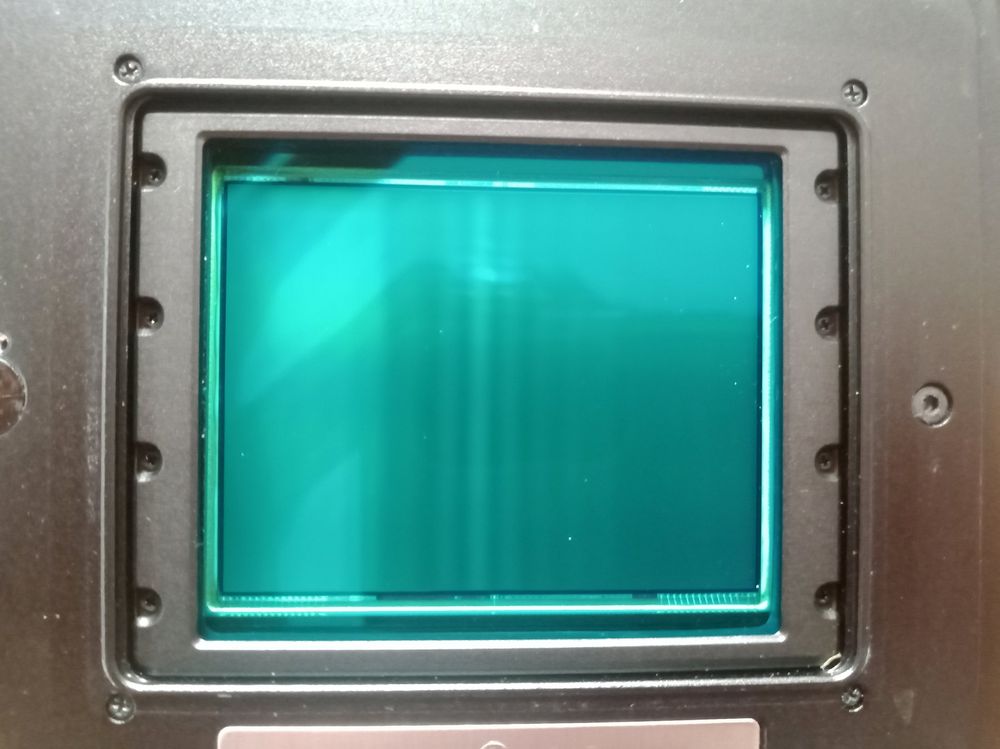 Phase One P45+ // Digital Back | Kaufen auf Ricardo