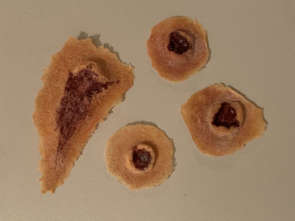 Narbe & Schusswunden NEU - wie echt! für Theater /1.Hilfe | Kaufen auf ...