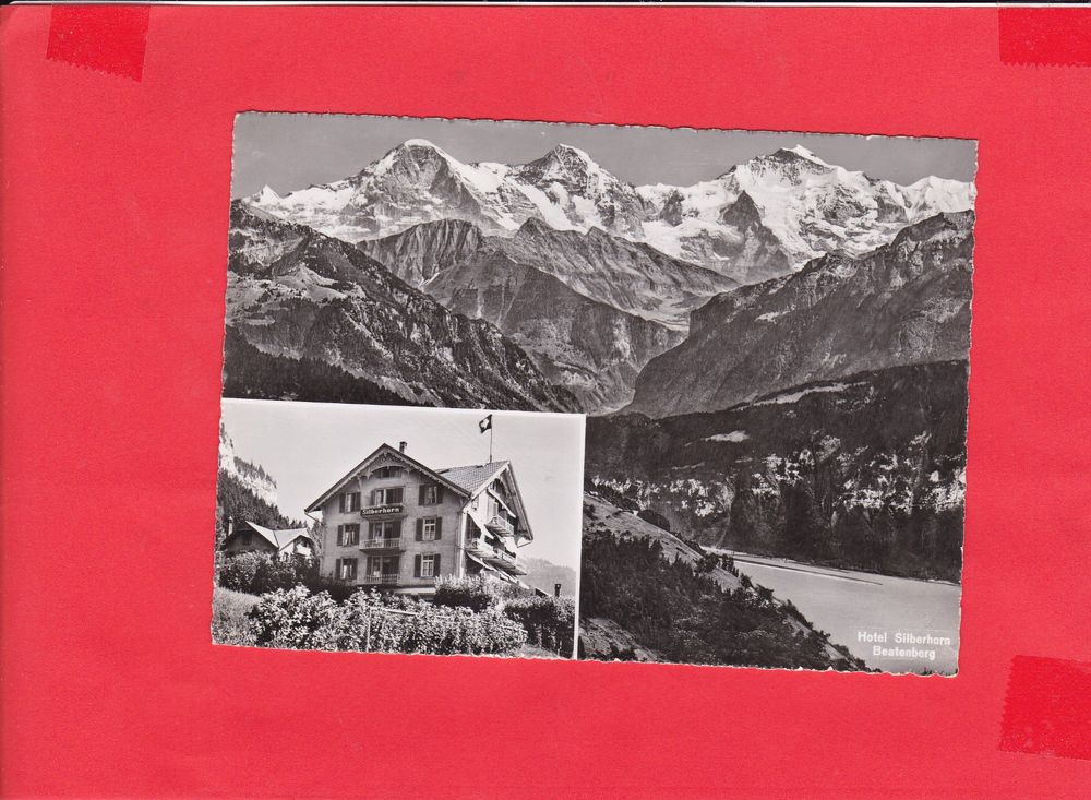 Hotel Silberhorn-Beatenberg (Gebraucht) in St. Peterzell für CHF 1 – mit Lieferung auf Ricardo ...
