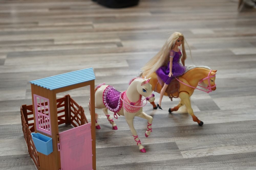 Barbie Pferd Stall Reiterin Set (Gebraucht) in Buttisholz für CHF 20 ...
