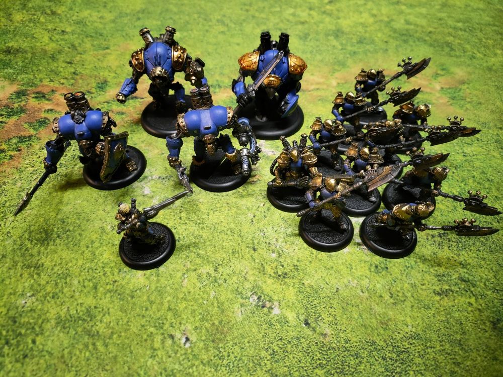 Warmachine Cygnar Starterpaket Plus :) (Fußvolk verkauft)) (Gebraucht ...
