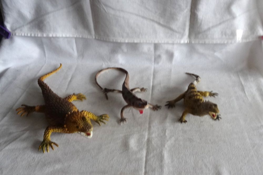 3 Echsen | Kaufen auf Ricardo