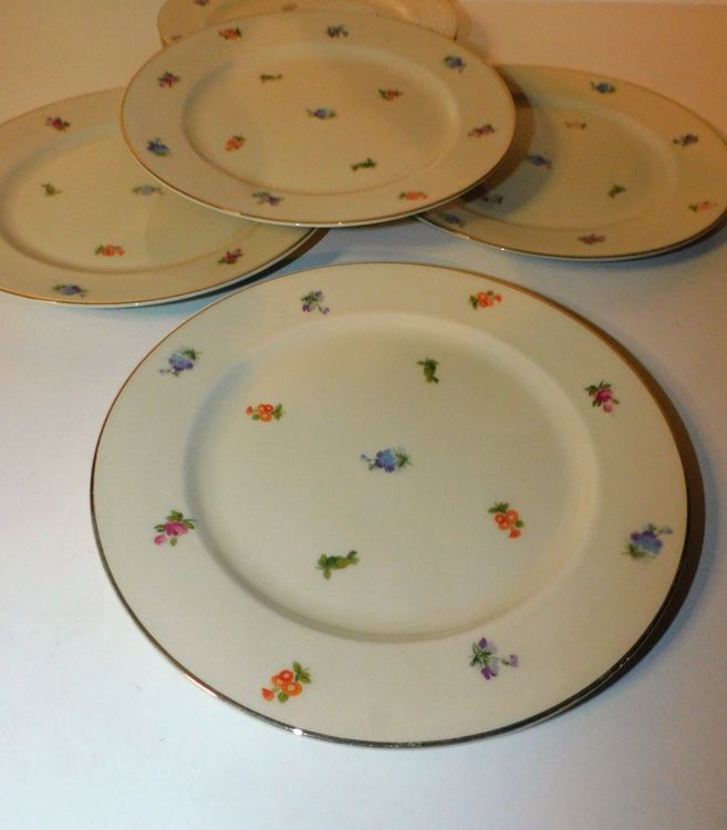 Porzellan Dessertteller Thomas 6 alte Teller | Kaufen auf Ricardo