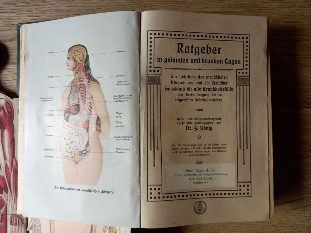 Erstaunlich Ratgeber In Gesunden Und Kranken Tagen Ebenbild