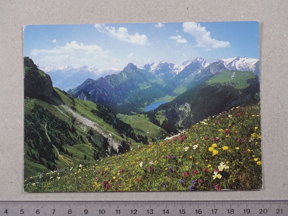 Blick gegen Alpstein, 1975, belebt, Appenzell (Gebraucht) in Lenzburg für CHF 2 – mit Lieferung ...