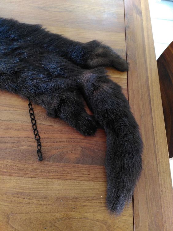 Dunkler Pelzschal Fuchs & weisser Pelz, echt | Kaufen auf Ricardo