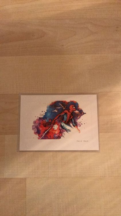 Spider-Man Aquarell Druck von David Mack (Neu und originalverpackt) in ...