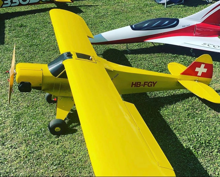 Piper cub | Kaufen auf Ricardo