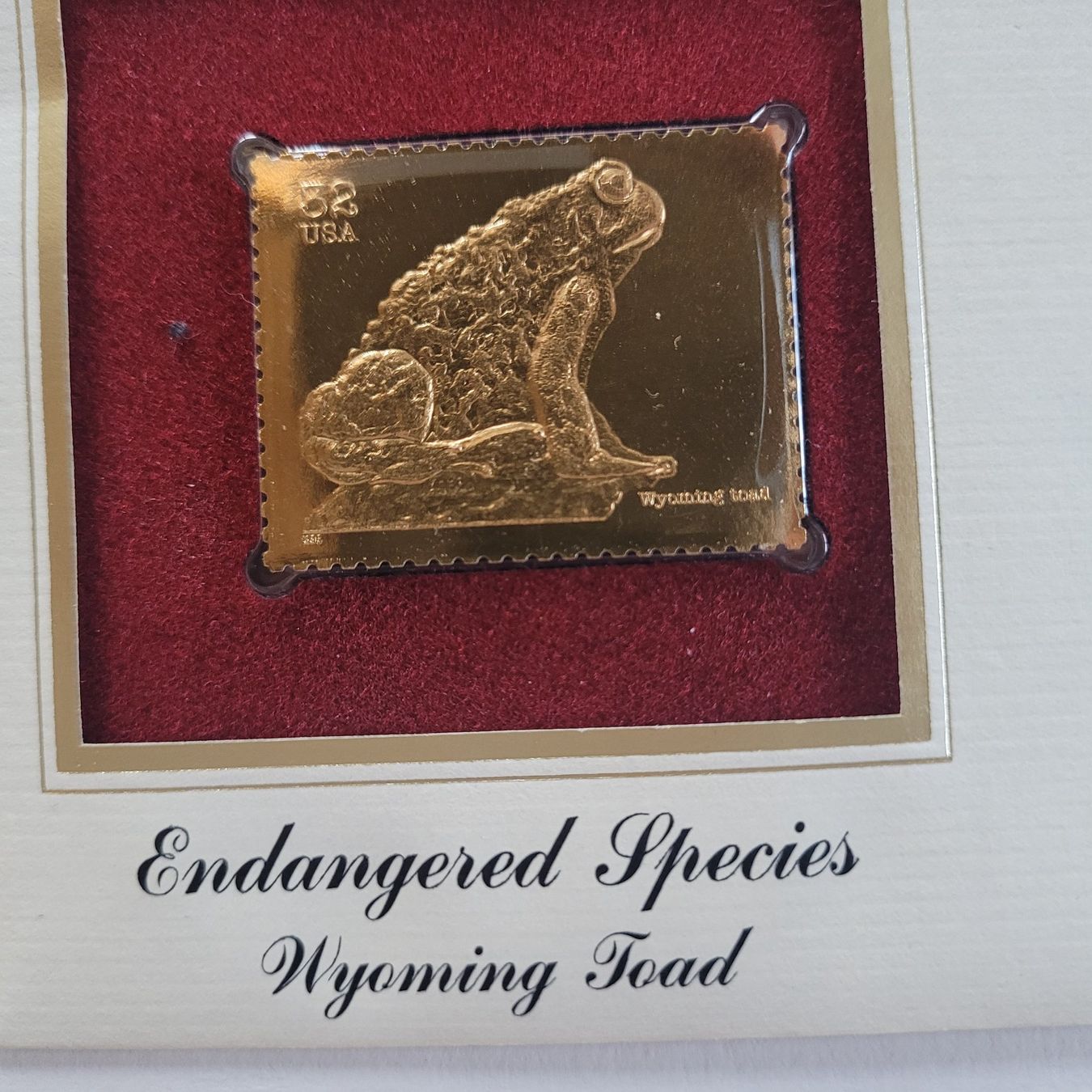 Brief mit Vergoldene Vignette USA 24 Cararts Zoo San Diego (Gebraucht ...