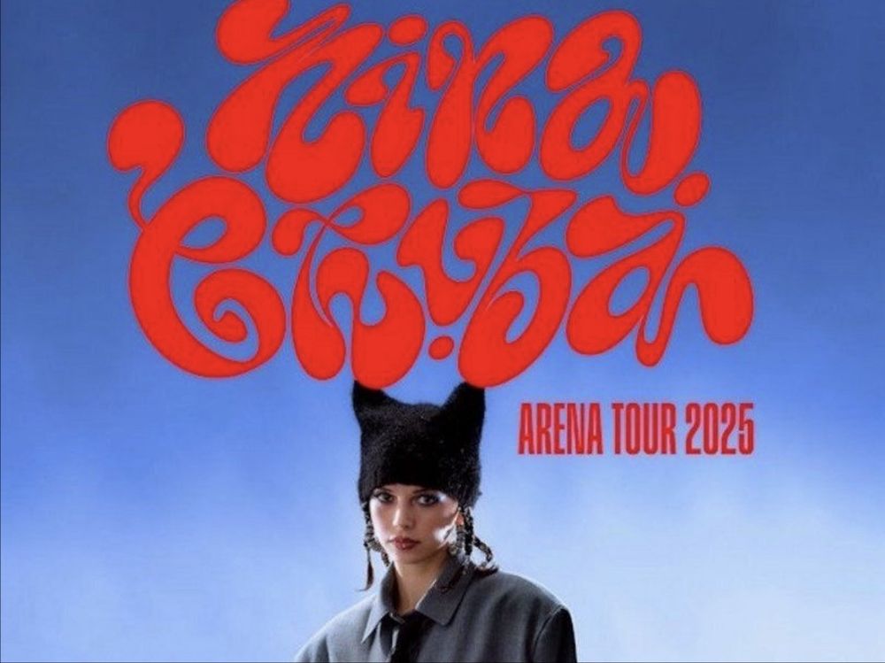 Nina Chuba Konzert Zürich 28.10. - 2 Tickets (Neu (gemäss Beschreibung ...