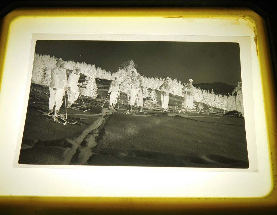 Sammlung alte Foto Negative Dias Glasplatten Konvolut (Gebraucht) in ...