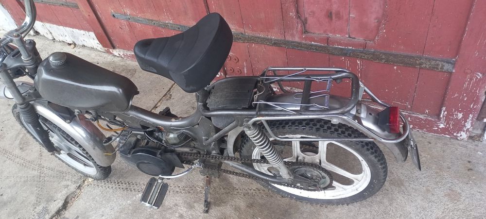 Pony Cilo (Gebraucht) in für CHF 750 – nur Abholung auf Ricardo kaufen