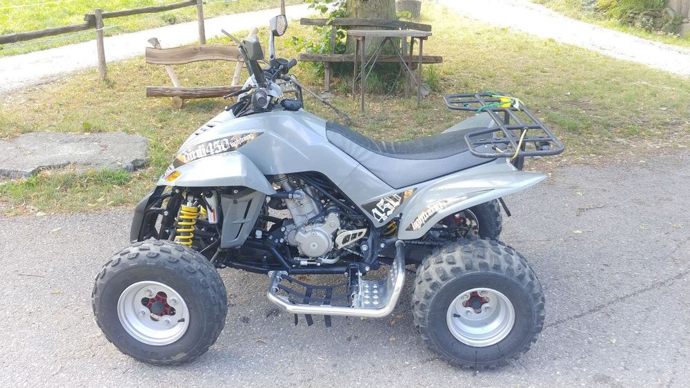 Quad ATV DINLI 904-450 (Gebraucht) in Leimiswil für CHF 2220 – mit ...