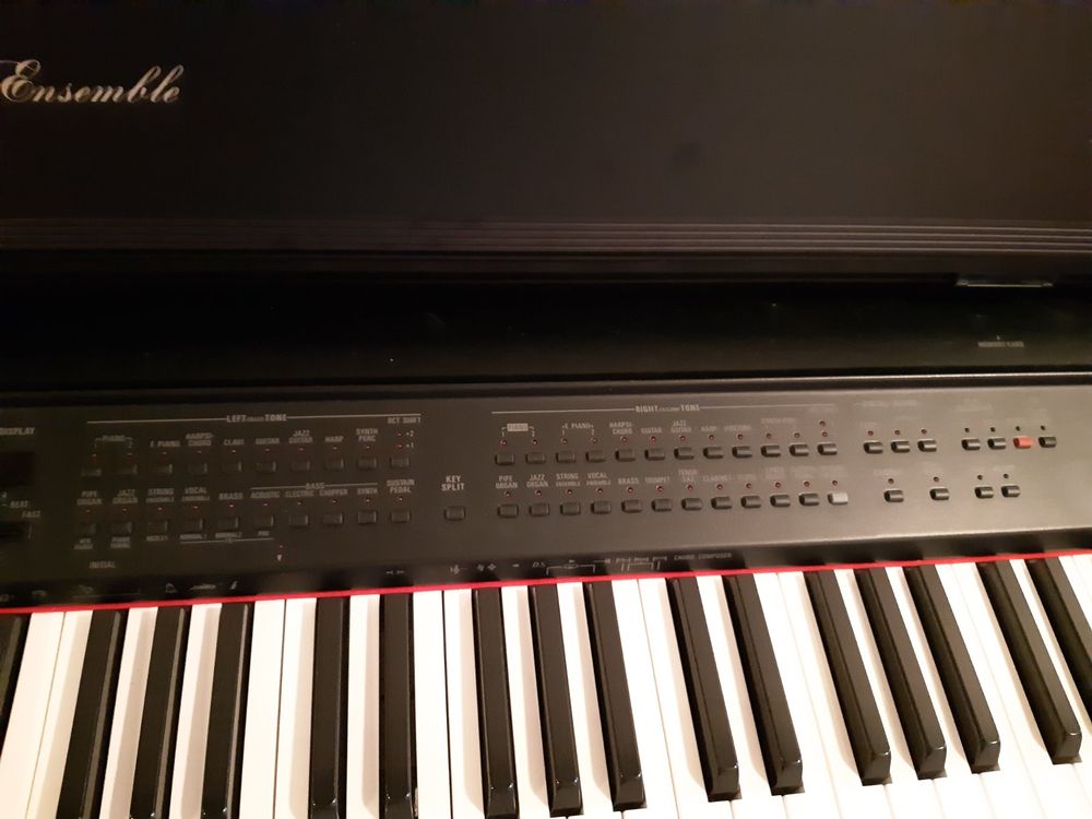 Technics E-Piano PCM Digital Ensemble PR300 (Gebraucht) in Kestenholz ...