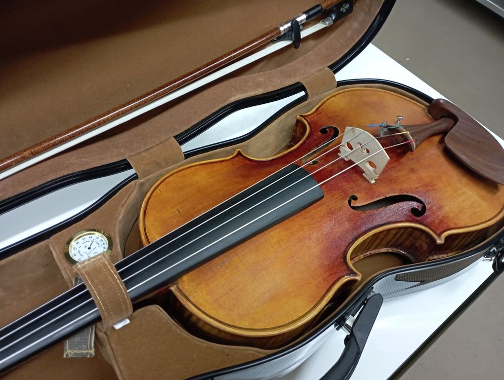 Viola Bratsche Alto (Gebraucht) in SION für CHF 340 – mit Lieferung auf Ricardo kaufen