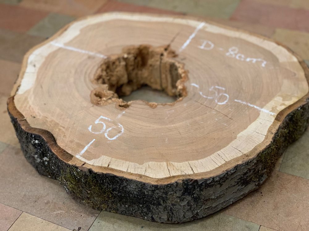 Kirschbaum Scheibe (Gebraucht) in Seedorf UR für CHF 80 – mit Lieferung ...