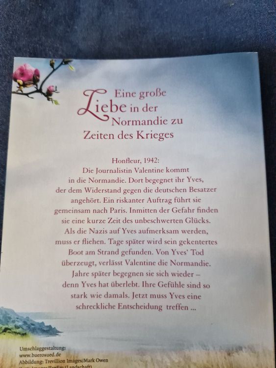 Amélie Breton - Ein Lied für Valentine Normandie Roman (Gebraucht) in ...