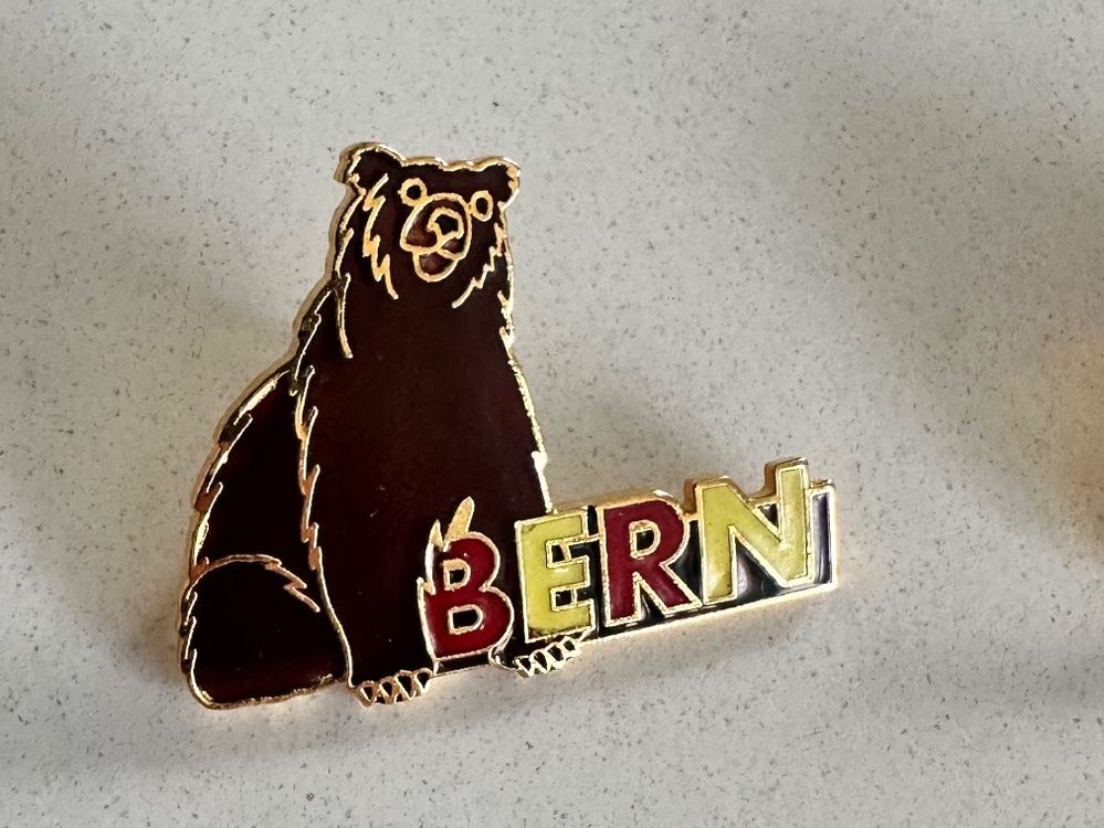 Bern Pin (Gebraucht) in Gutenswil für CHF 4 – mit Lieferung auf Ricardo kaufen