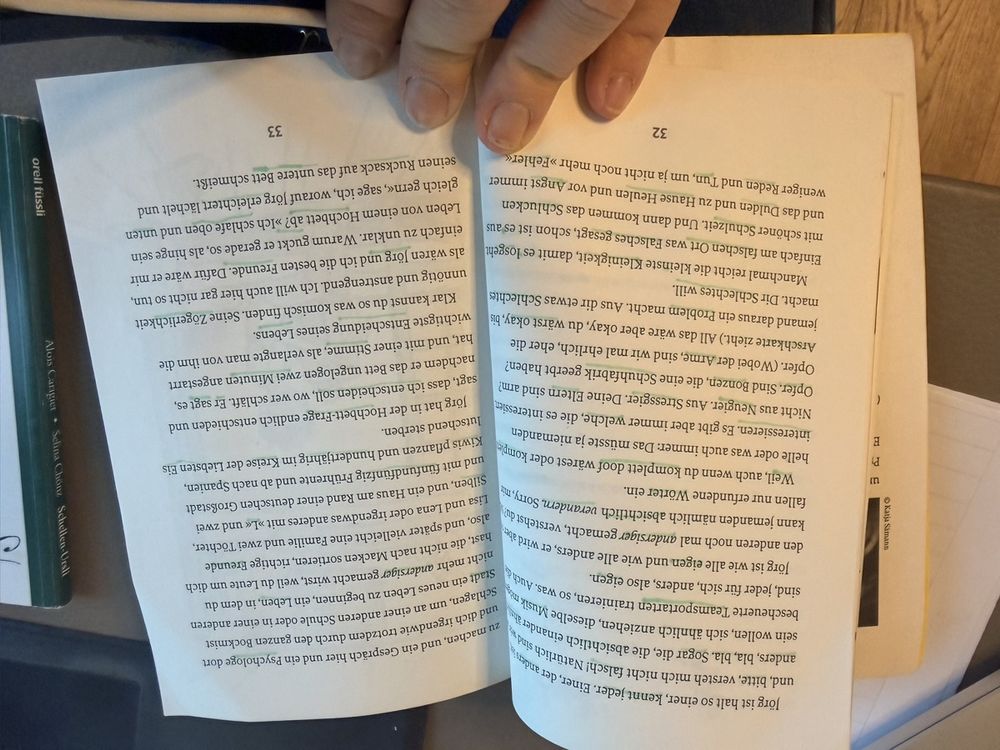 Saša Stanišic WOLF - Spiegel Bestseller Book 🌲🔥 Perfect! (Gebraucht) in ...